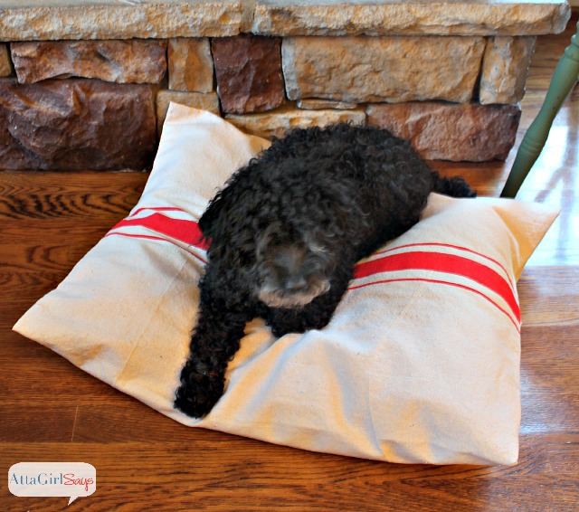 No Sew Faux Grain Sack Dog Bed Cover Atta Girl Says No Sew Faux Grain Sack Dog Bed Cover Atta Girl Says