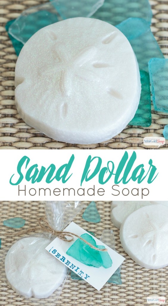 Oyster Shell Craft: Pretty DIY Jewelry Storage Dishes